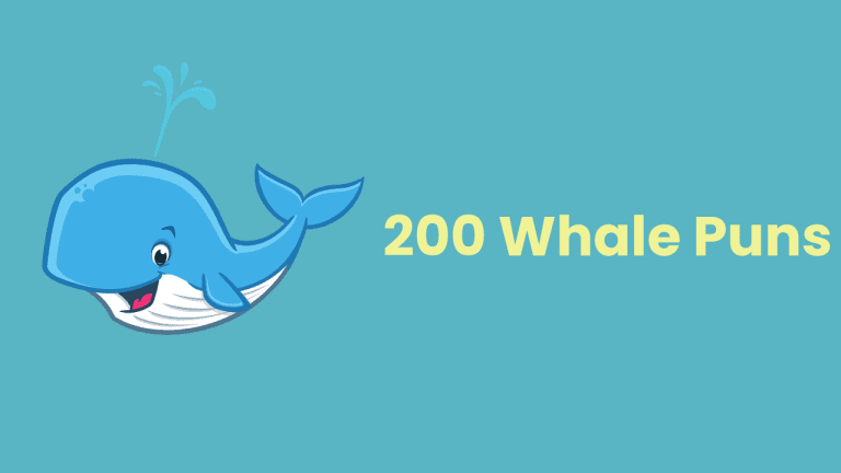 200 Whale Puns Funny For Love Birthday Instagram Etc